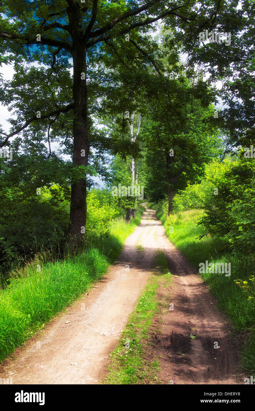 Valley of the green trees Stock Photo - Alamy