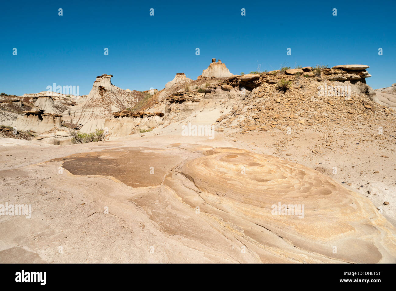 View at Dinosaur Provincial Park in Brooks, Canada Stock Photo - Alamy