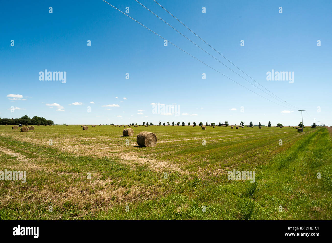 Heap of hay hi-res stock photography and images - Alamy