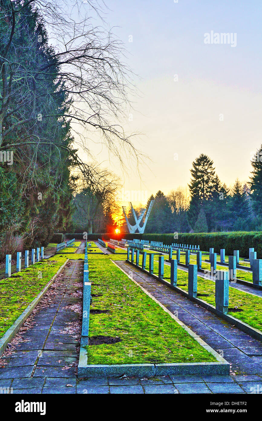 Hdr woods trees sun sky hi-res stock photography and images - Alamy