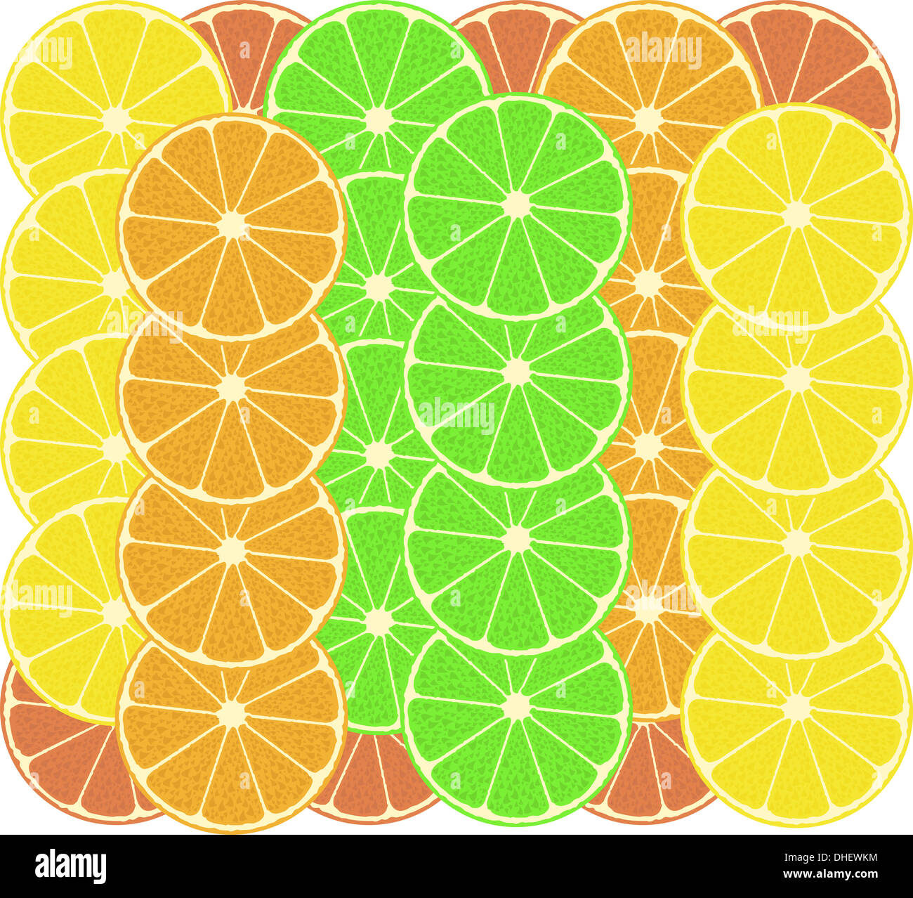 Citrus fruits illustration hi-res stock photography and images - Alamy