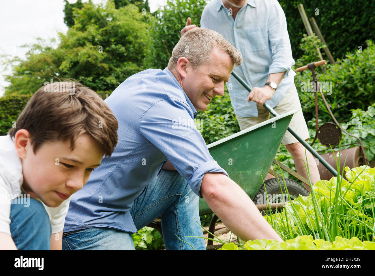 Father and son gardening Stock Photo - Alamy