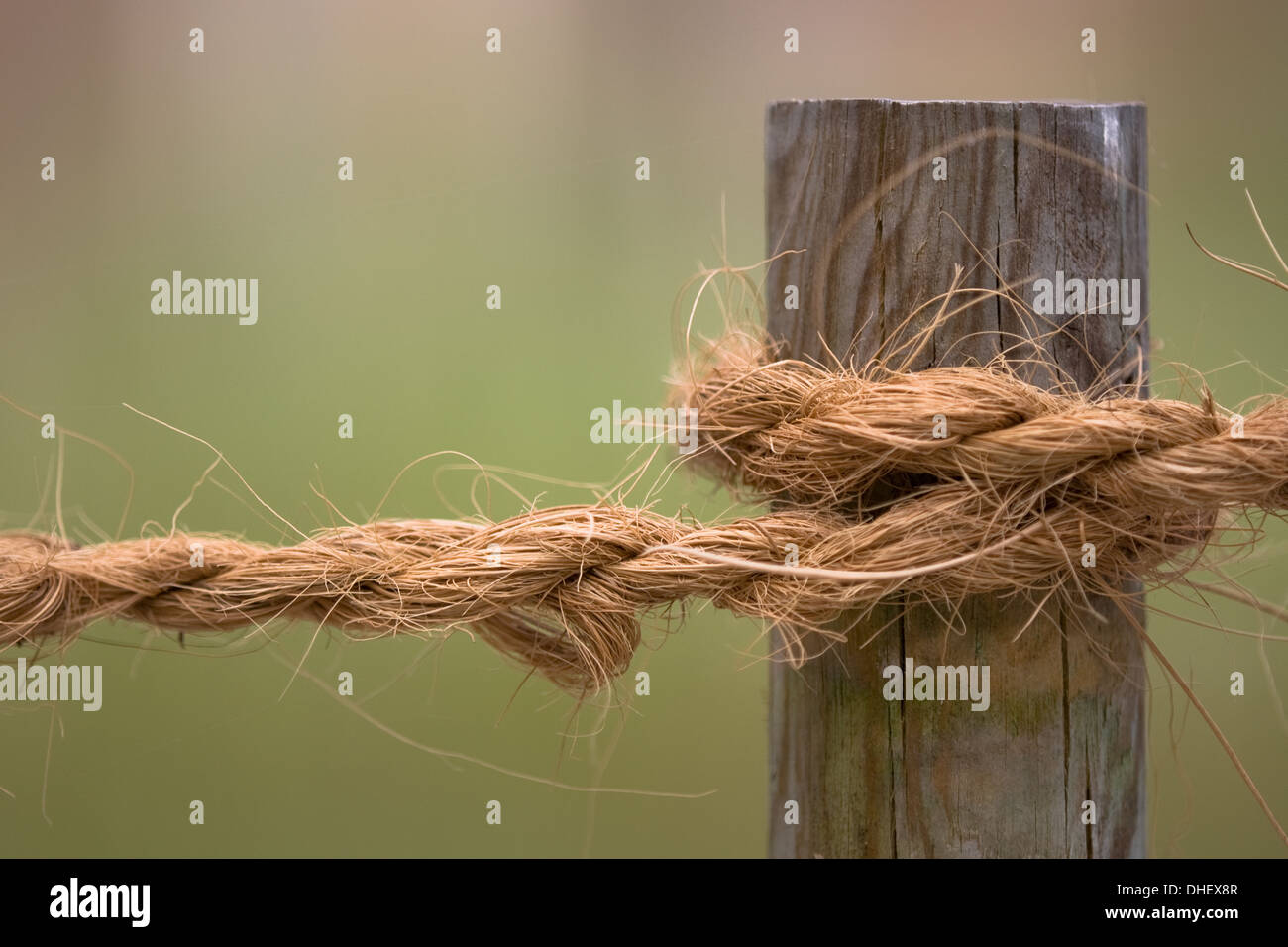 Stake rope hi-res stock photography and images - Alamy