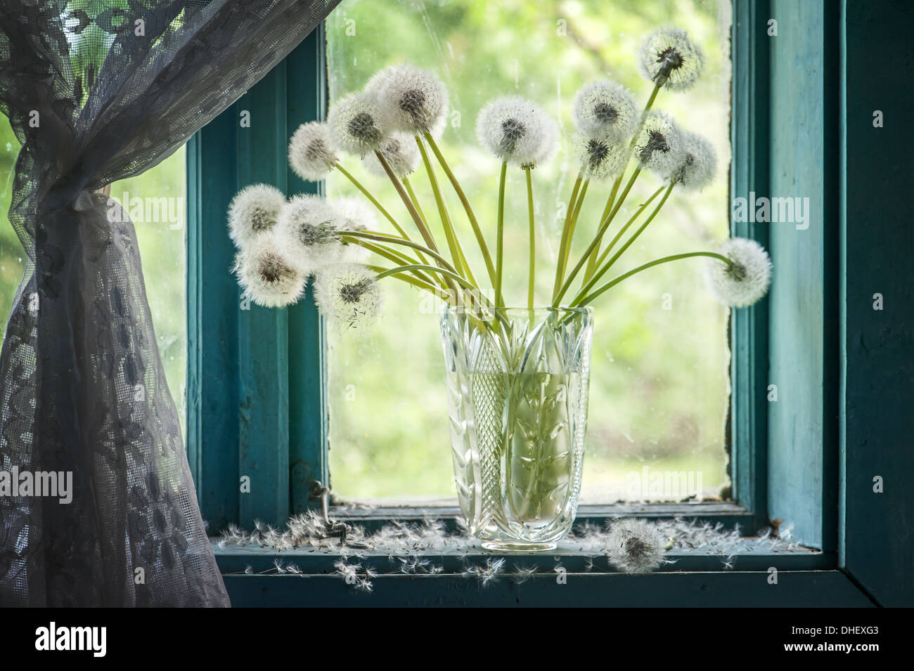 Flowers on windows hi-res stock photography and images - Alamy