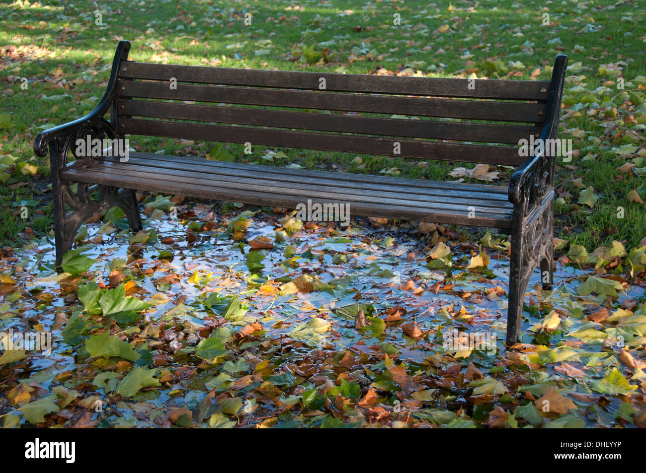 London Fields, Hackney. Fallen leaves with puddle and park seat Stock ...
