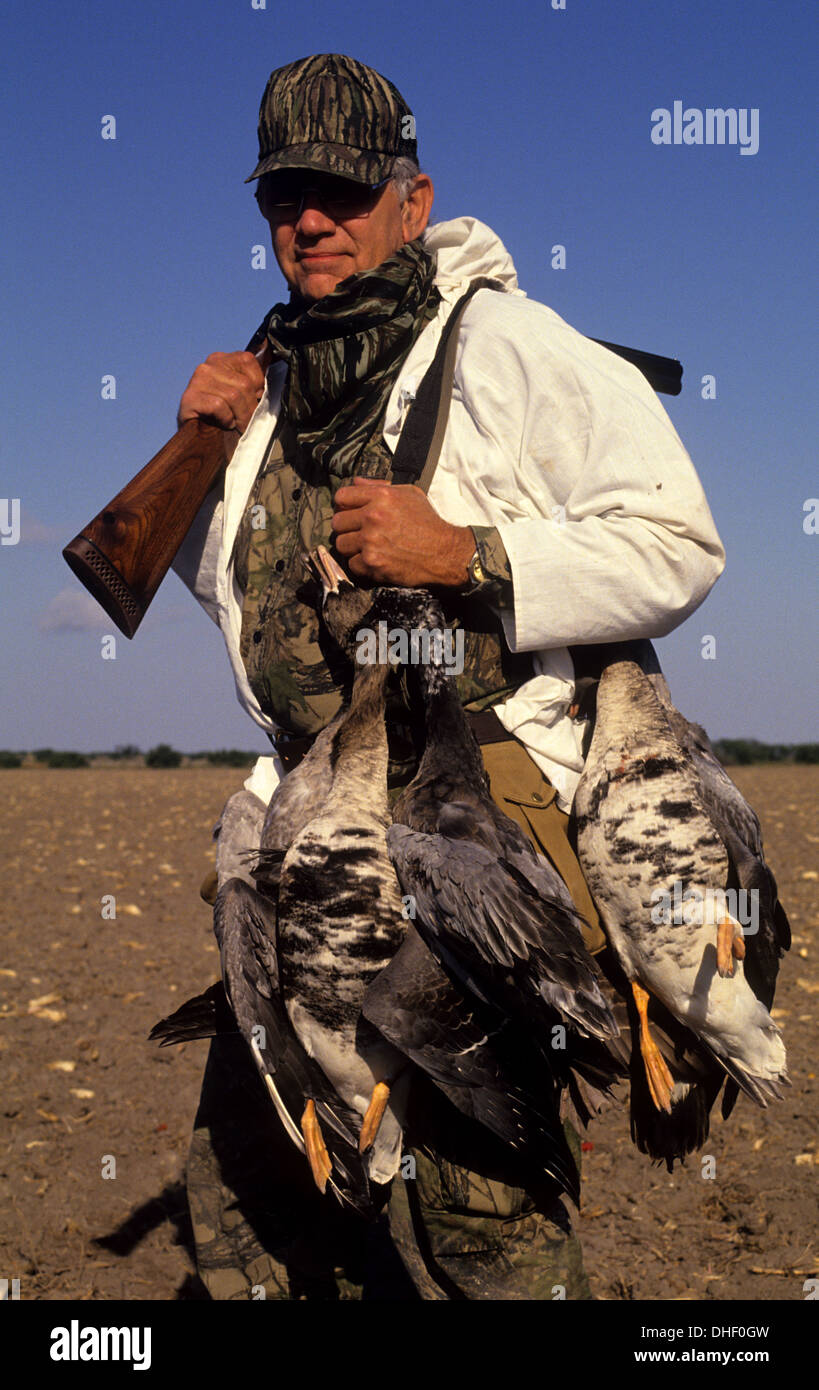 White goose camouflage hi-res stock photography and images - Alamy