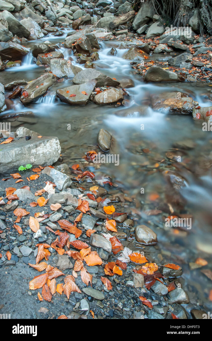 Brook with autumn leaves hi-res stock photography and images - Alamy