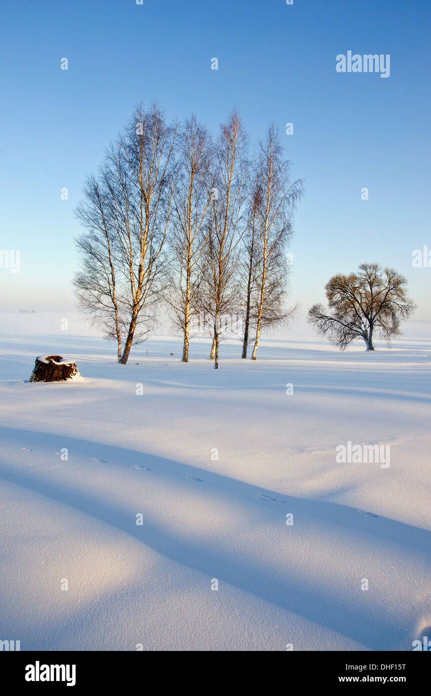 Midwinter morning hi-res stock photography and images - Alamy