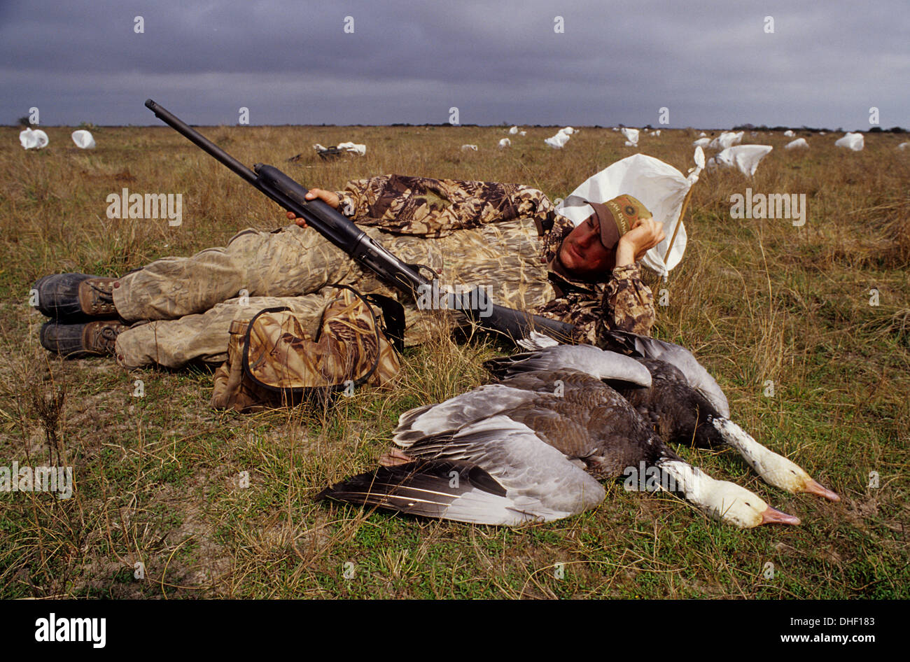 A hunter with Snow geese (Chen caerulescens) while goose hunting at ...