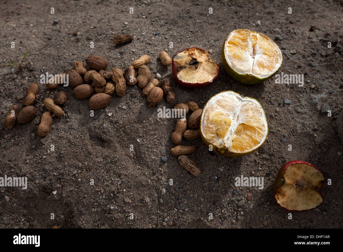 Day of the dead cemetery food hi-res stock photography and images - Alamy
