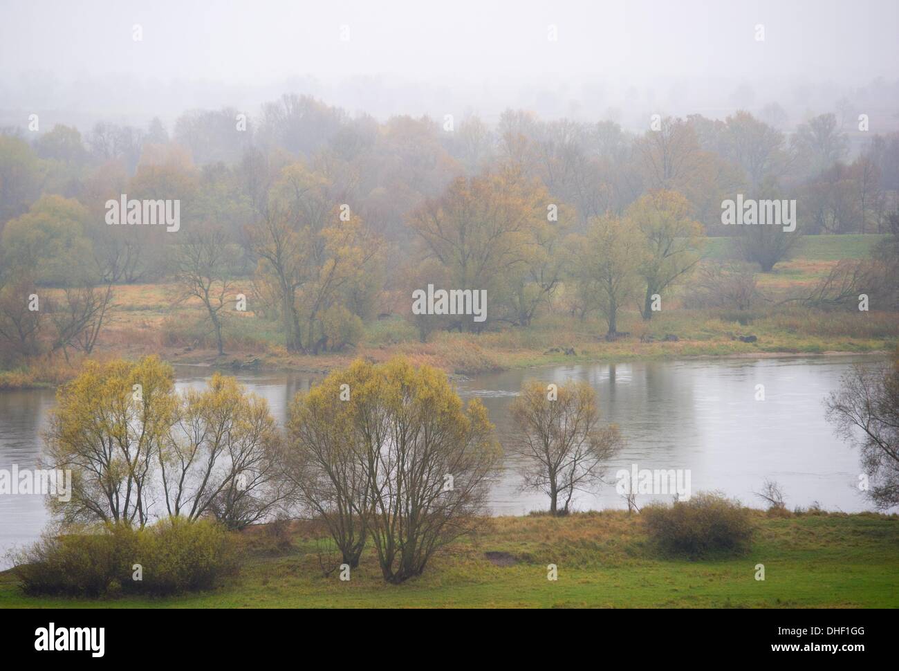 View from the Oder riverside onto the autumnal Oder foreland with the ...