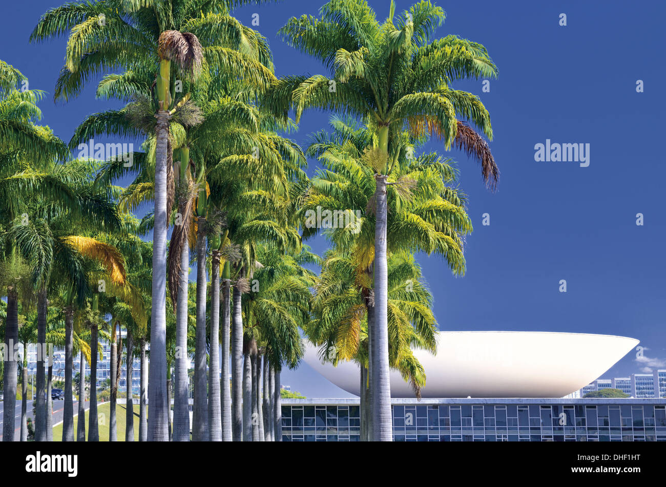 Brazil, Brasilia, Three Powers Square, National Congress, view, palm ...