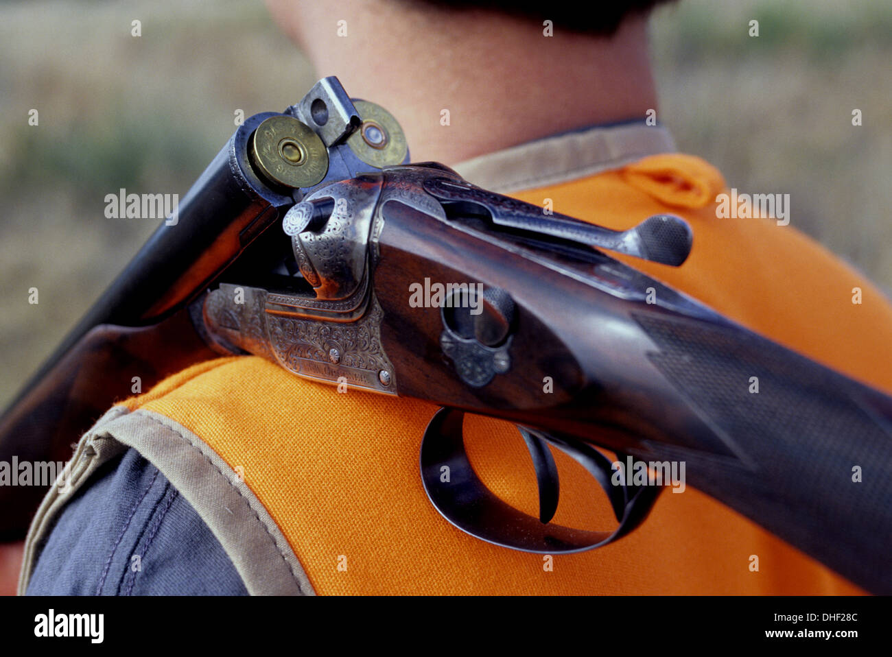 A quail hunter with his antique side-by-side shotgun Stock Photo - Alamy