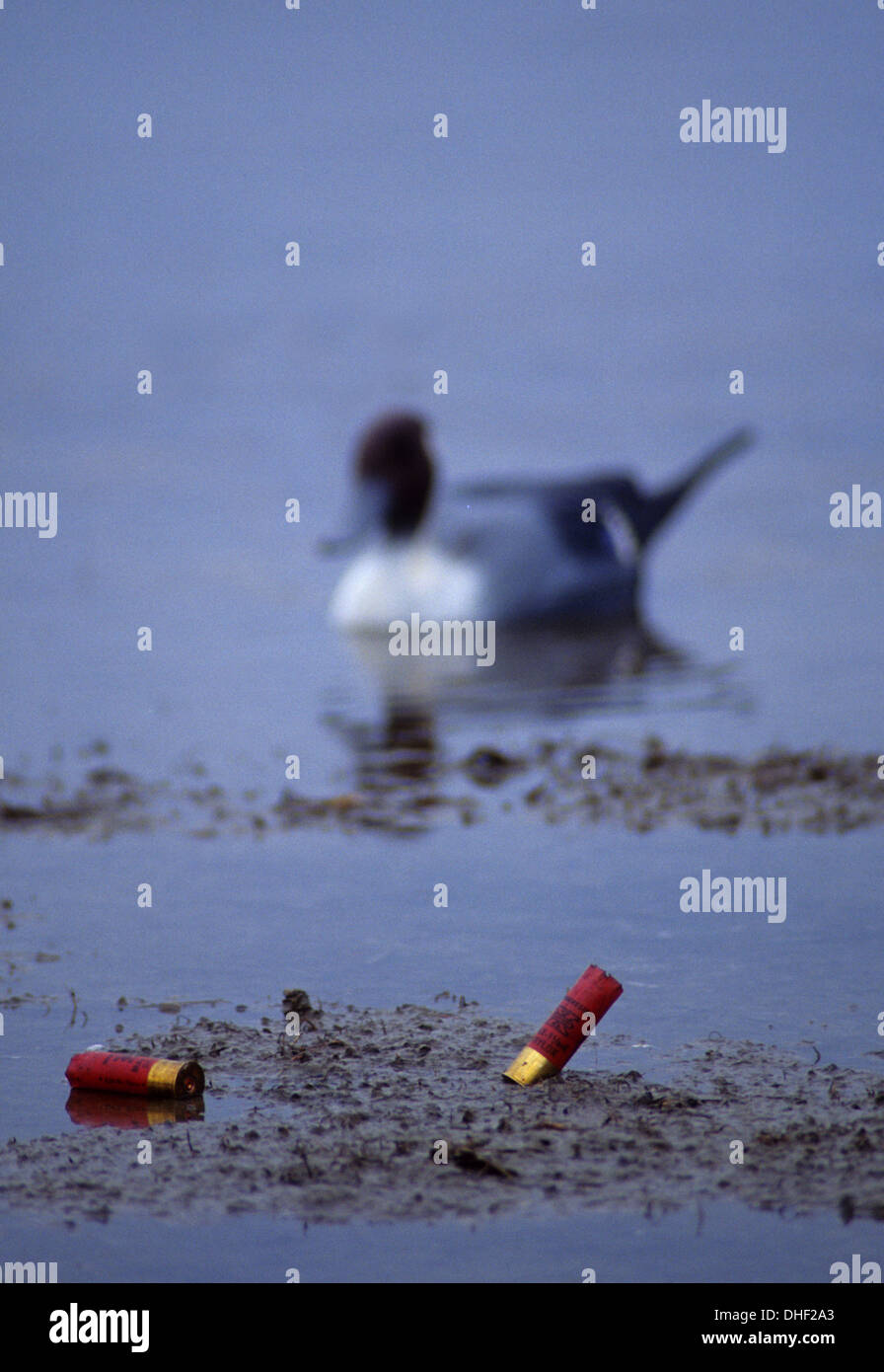 Decoy marsh hi-res stock photography and images - Alamy