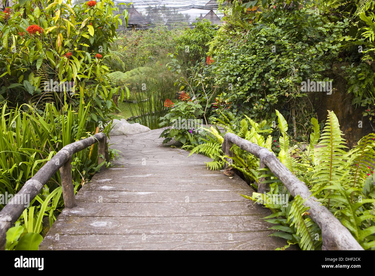 Indonesia path hi-res stock photography and images - Alamy