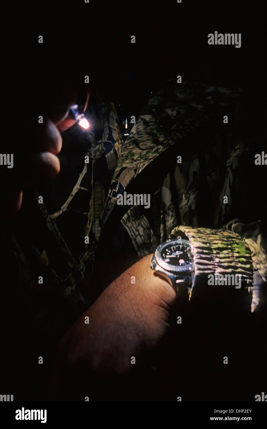 Watch the duck hi-res stock photography and images - Alamy