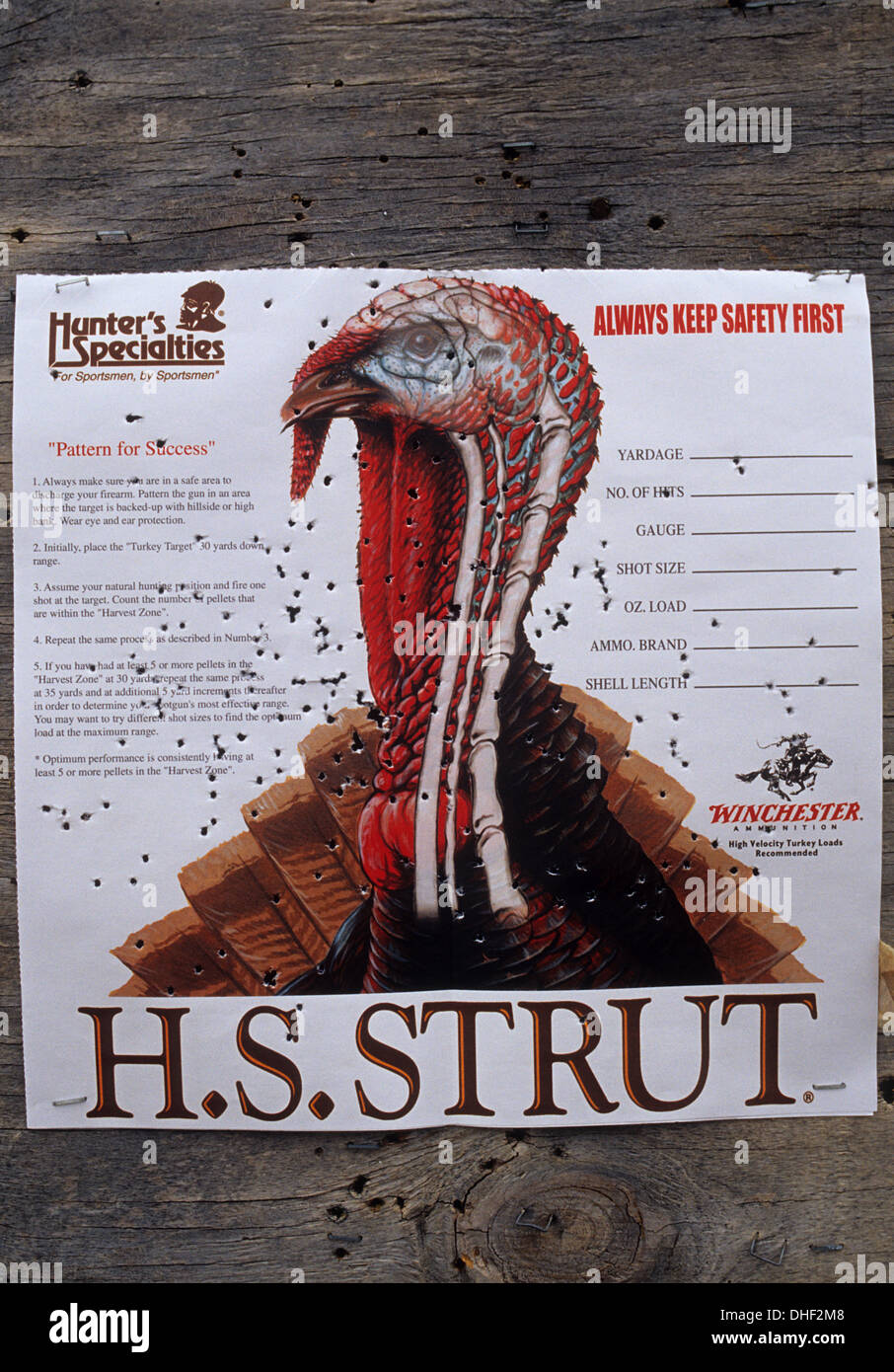 A turkey hunting target used to pattern a shotgun Stock Photo - Alamy