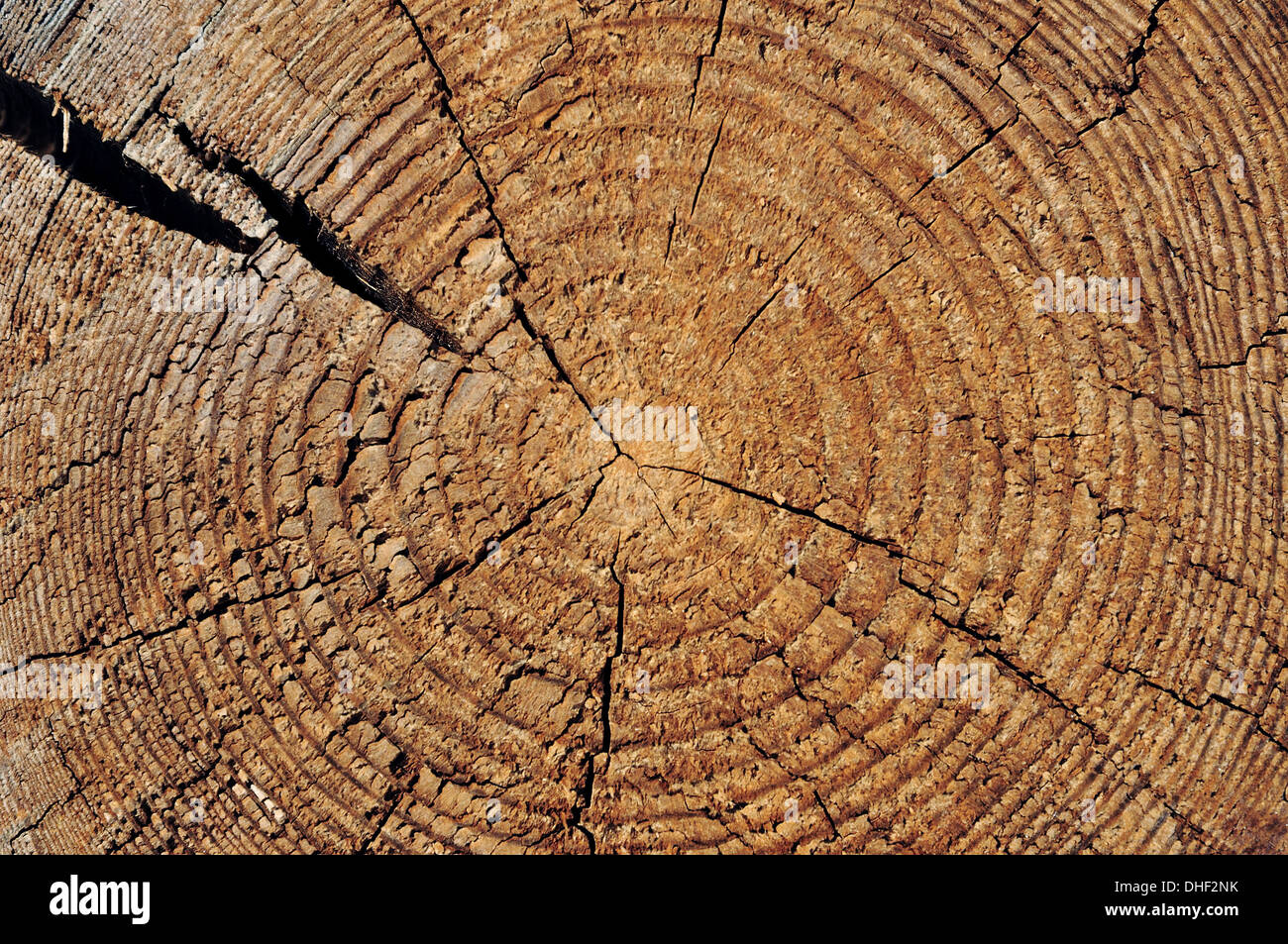 Weathered wooden cut Stock Photo - Alamy