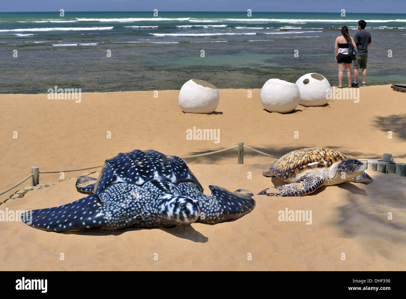 Brazil, Bahia, Praia da Forte, Tamar project, endangered sea turtles ...