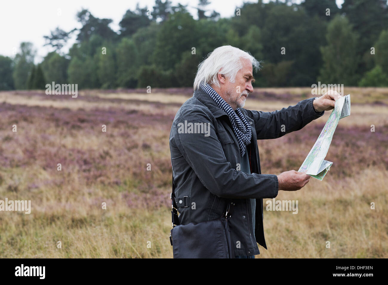 Man looking at map hi-res stock photography and images - Alamy