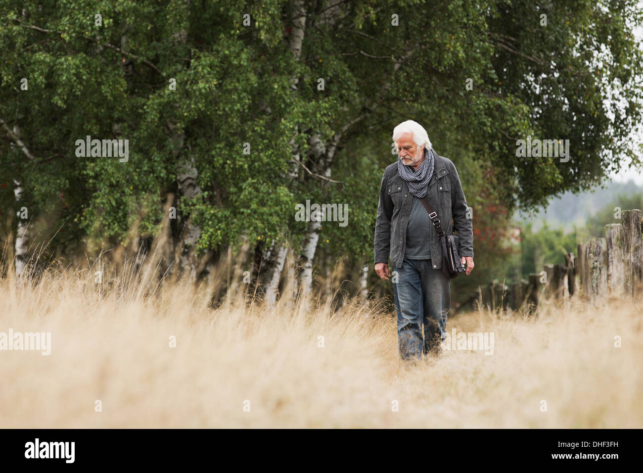 Old Man Walking Away High Resolution Stock Photography and Images - Alamy