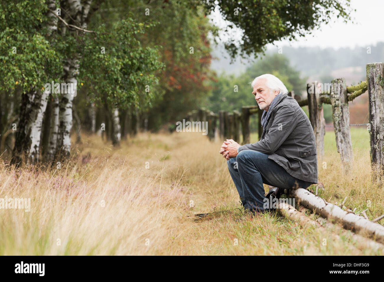 Man sitting on log on hi-res stock photography and images - Alamy