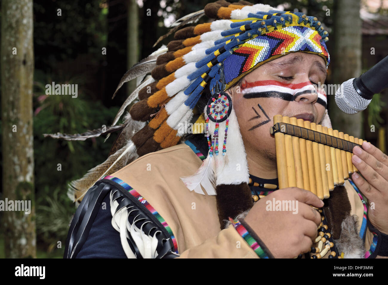 Traditional Brazilian Music