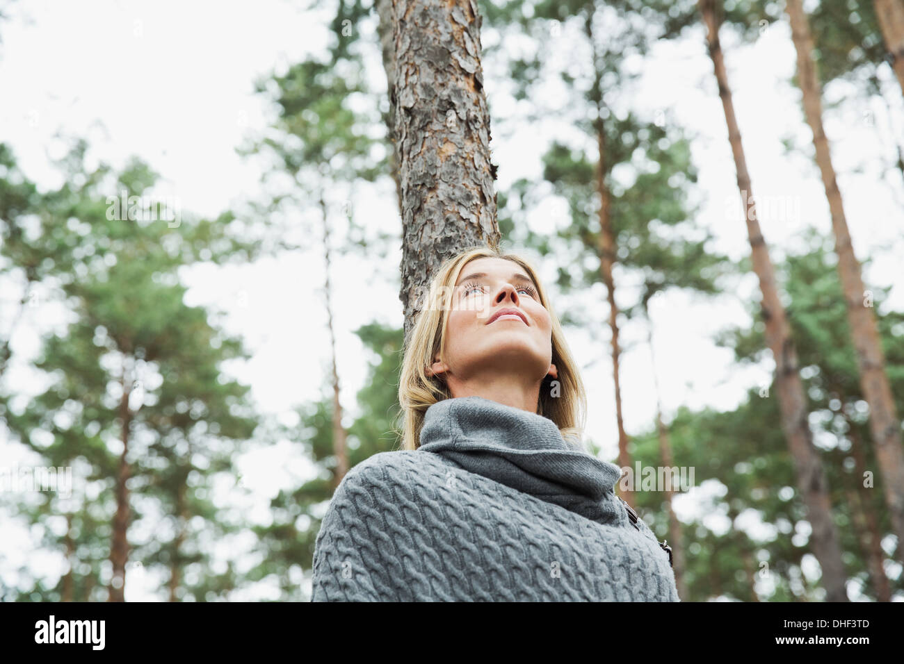 Woman forest hi-res stock photography and images - Alamy