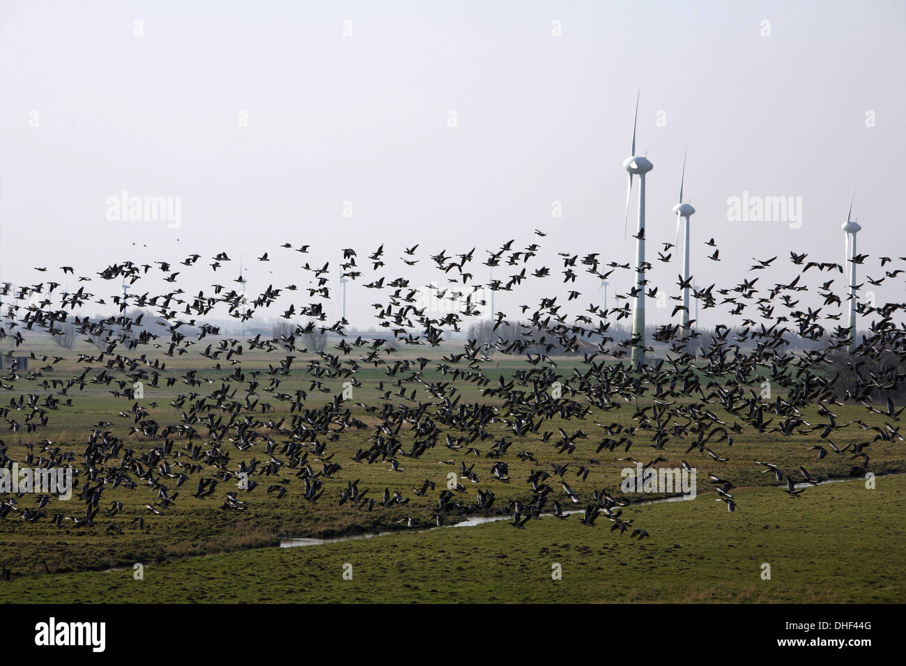 Diverse german army hi-res stock photography and images - Alamy