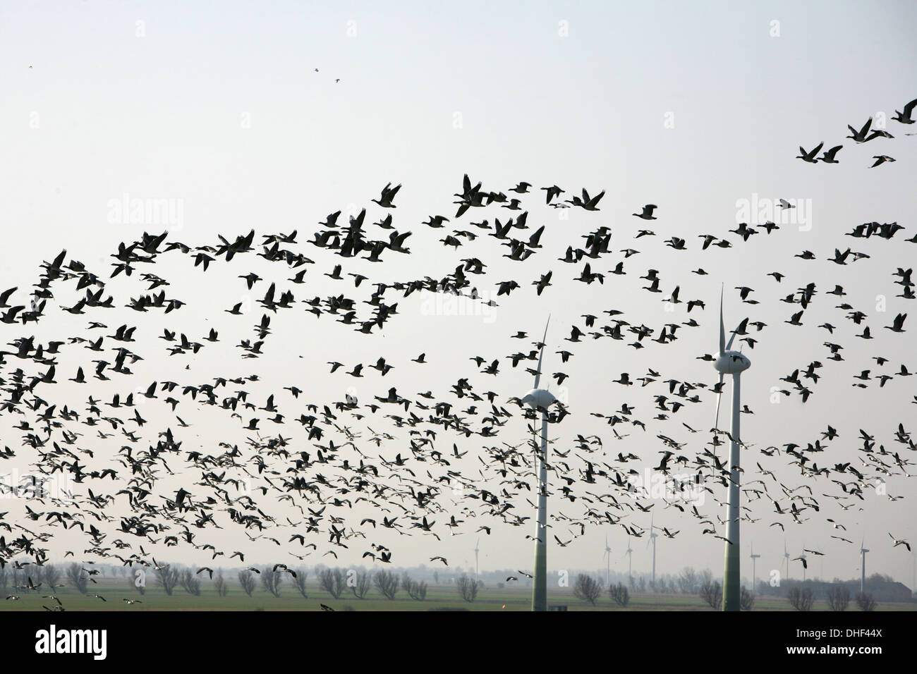 Diverse german army hi-res stock photography and images - Alamy