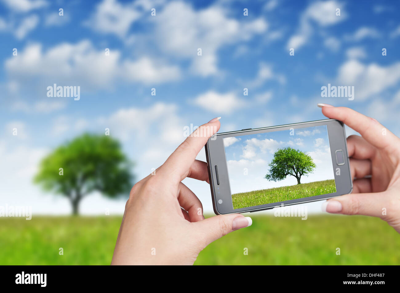 Telephone mobile grass hi-res stock photography and images - Alamy