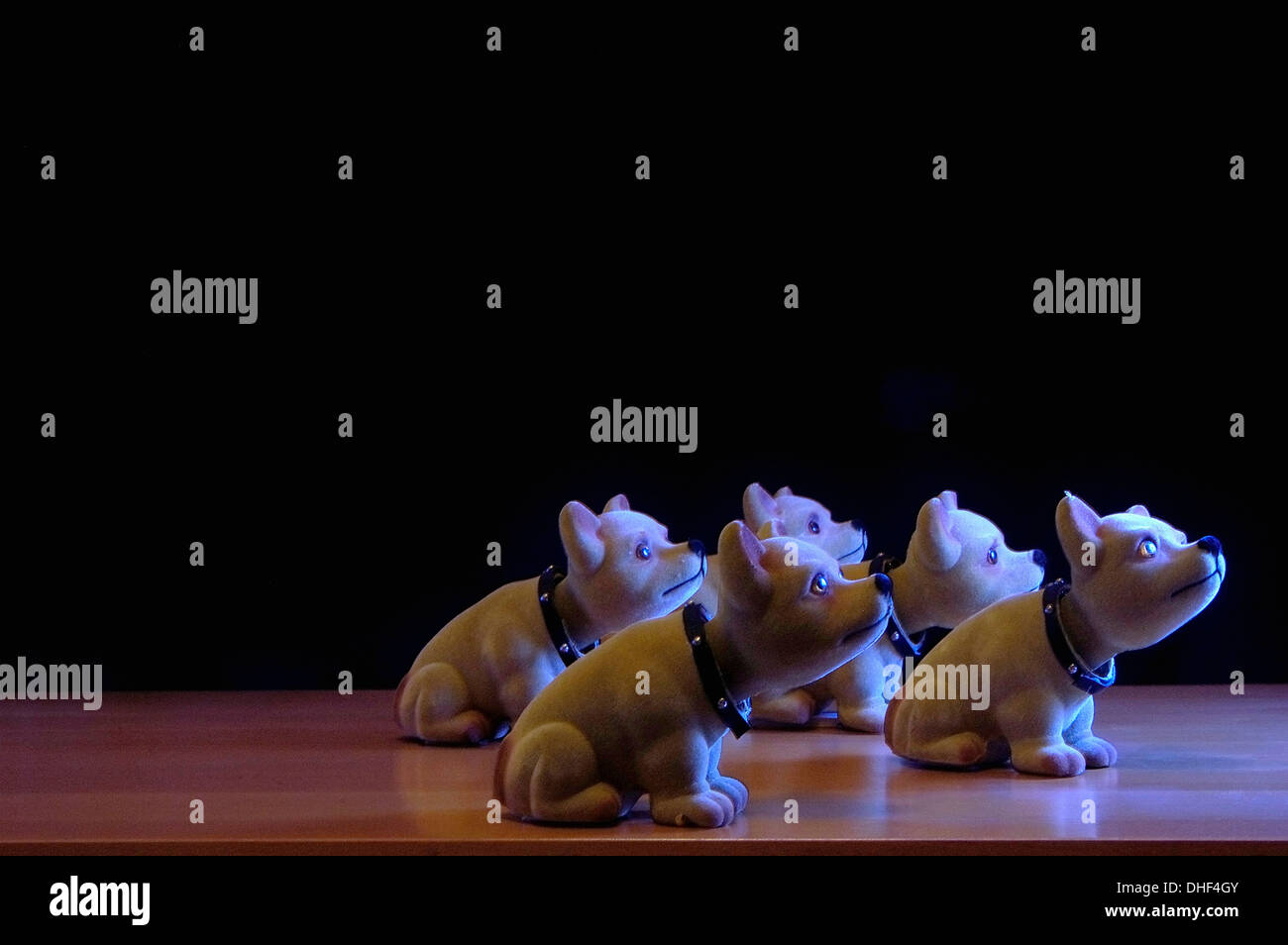 Still life with five toy dogs Stock Photo - Alamy