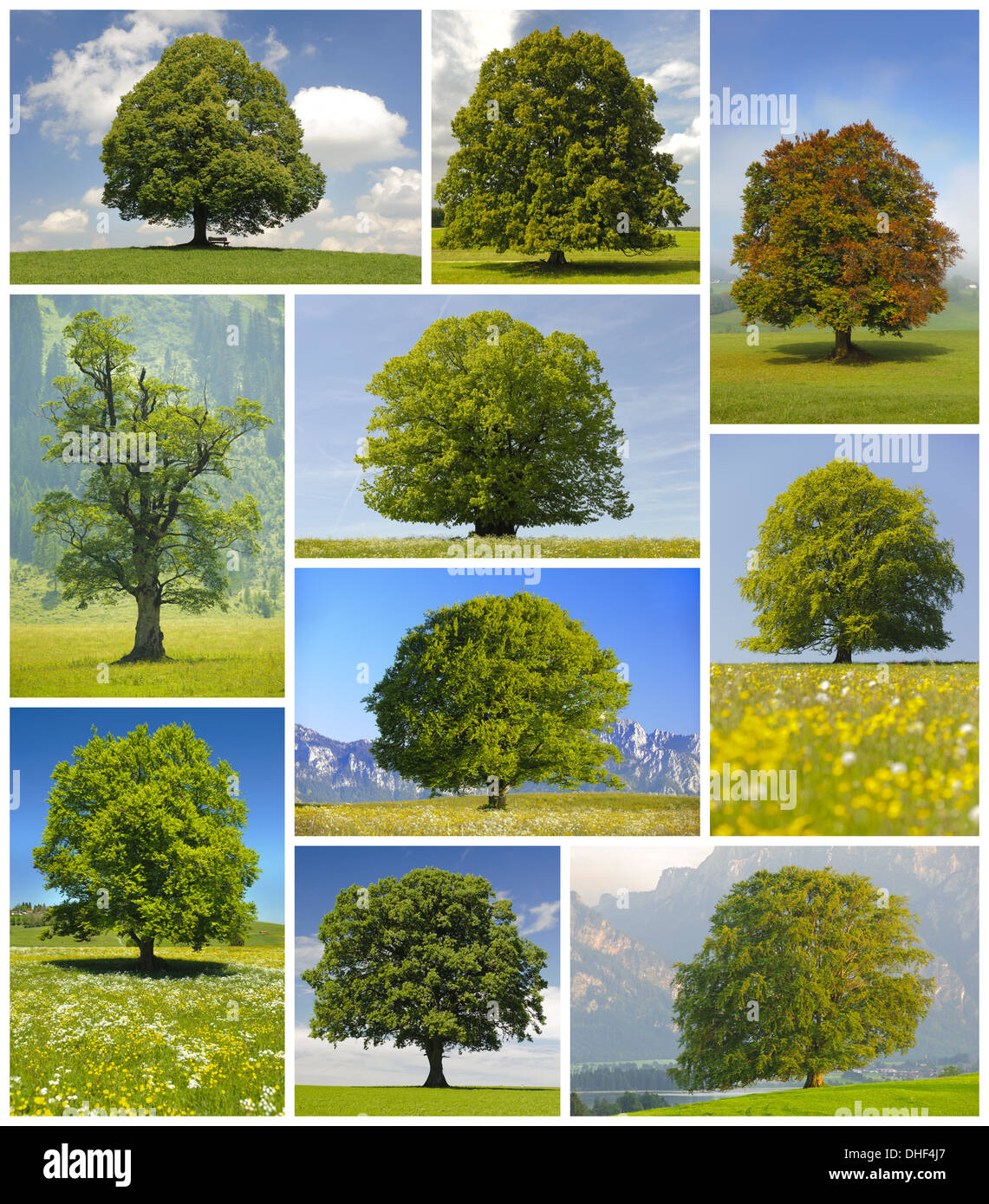 Clouds one single tree hi-res stock photography and images - Alamy