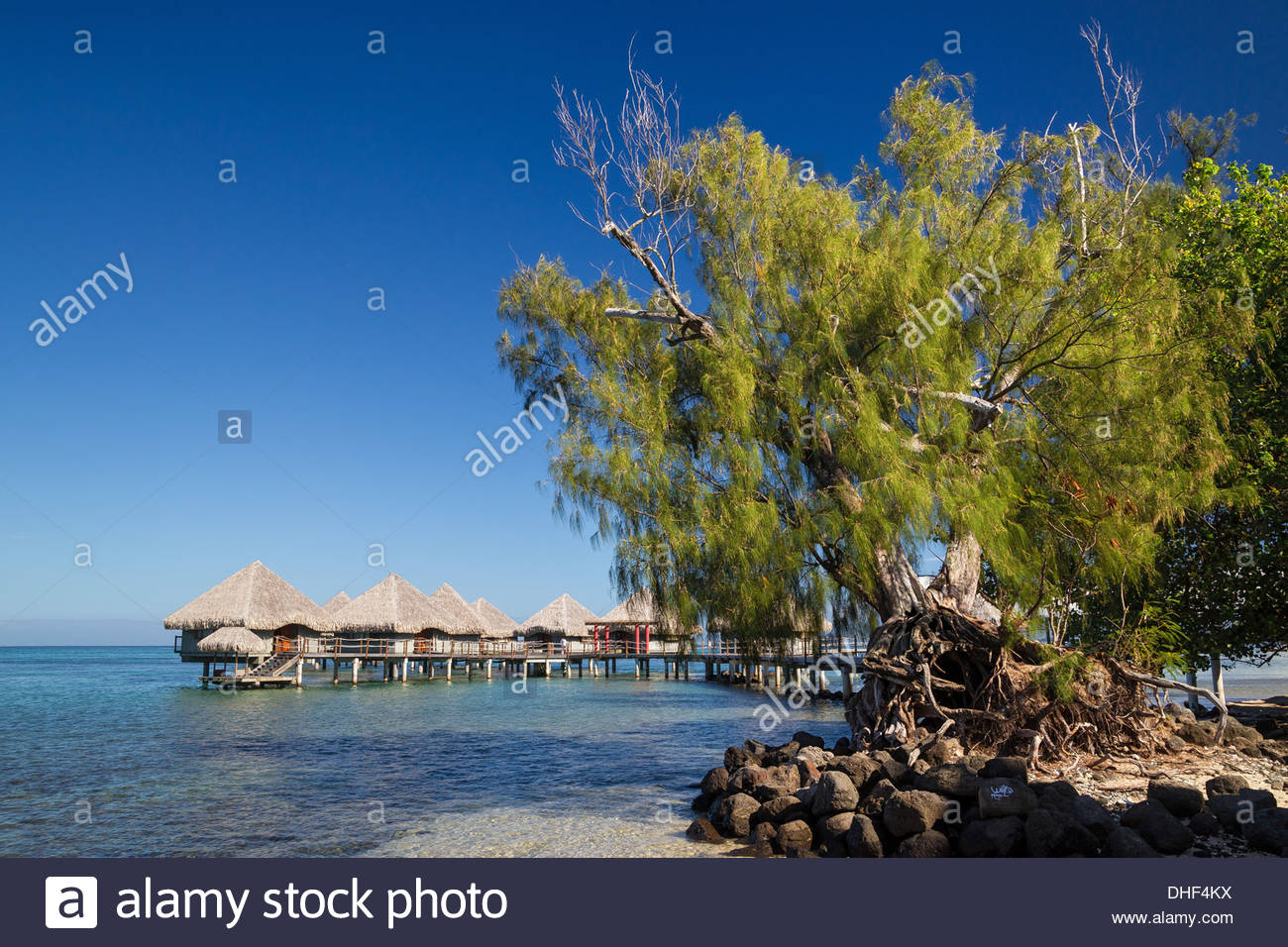 Papeete, French Polynesia High Resolution Stock Photography and Images - Alamy