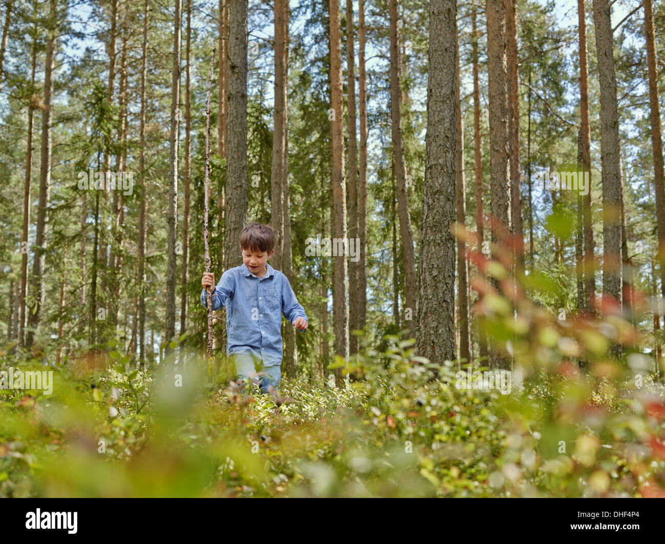 Scandinavian boy hi-res stock photography and images - Alamy