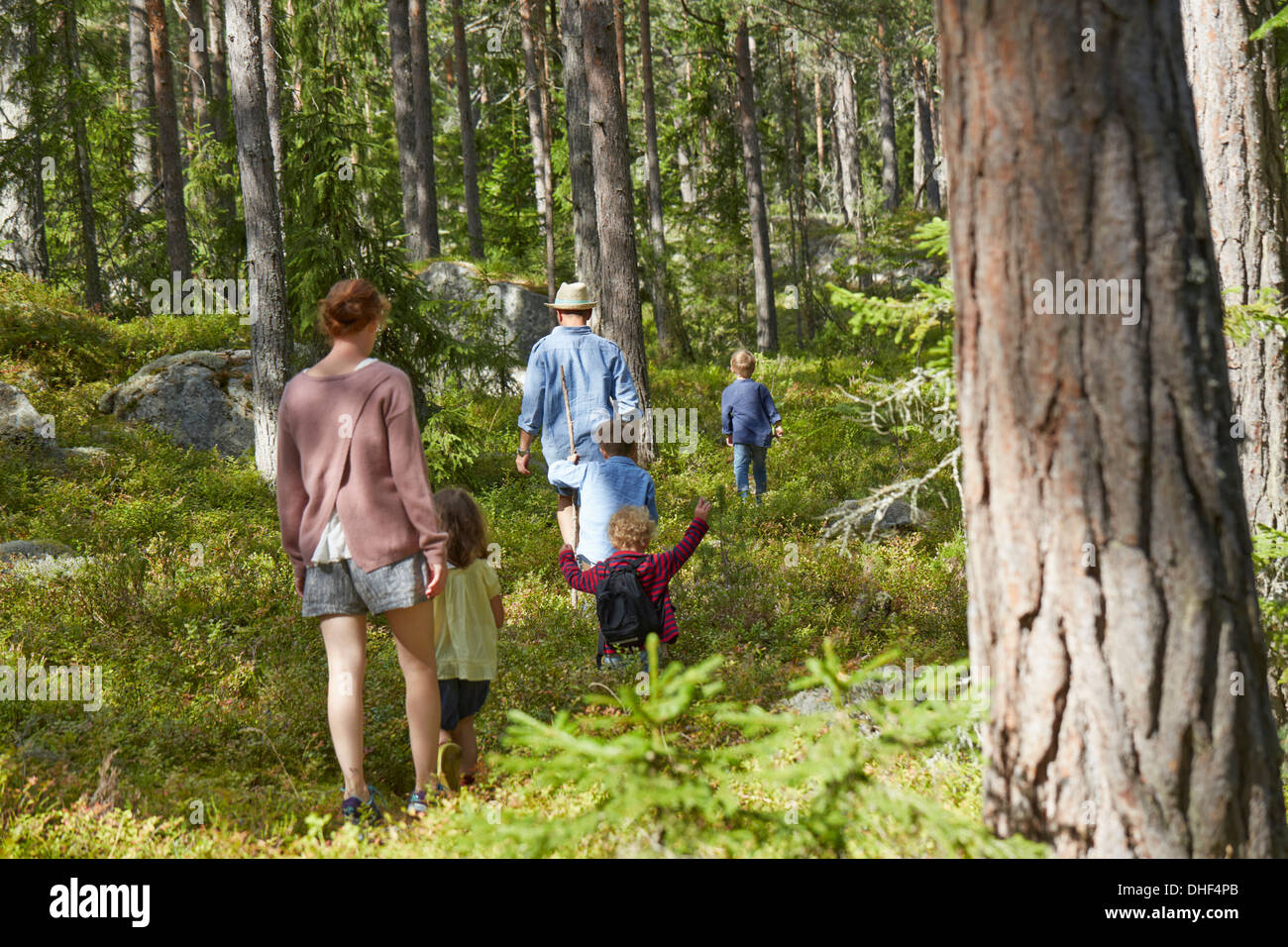 Family walking through forest Stock Photo - Alamy