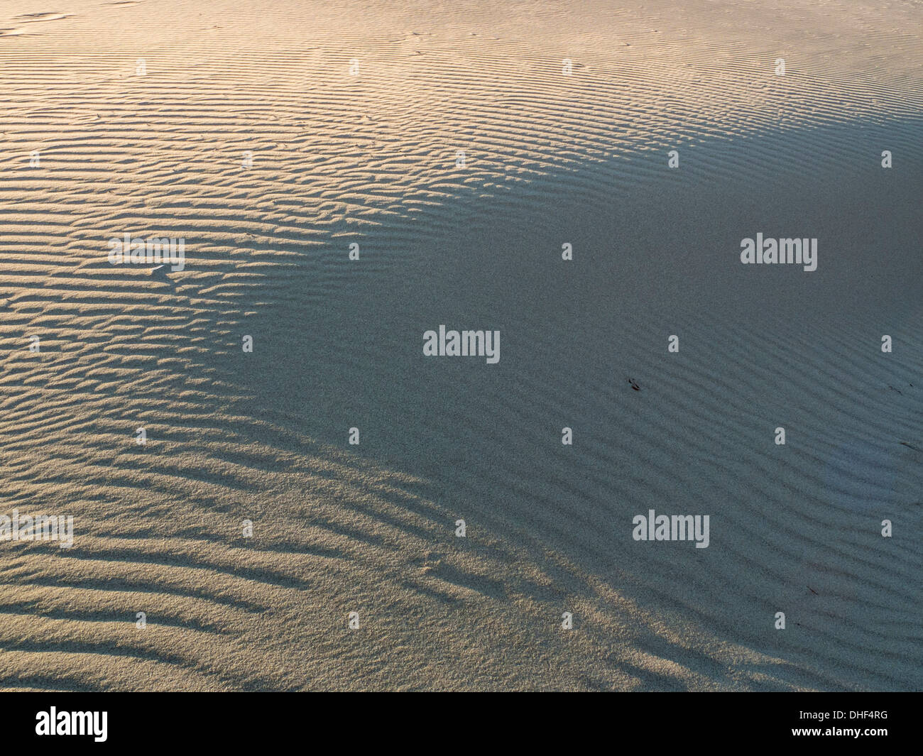 Shifting sand dune detail hi-res stock photography and images - Alamy
