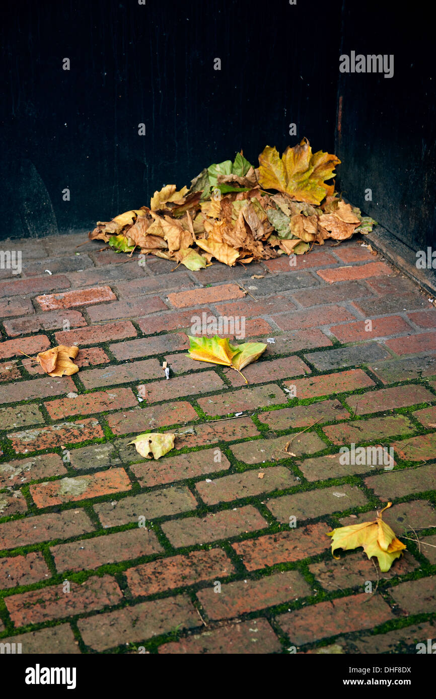 Autumnal Leaves in corner on brick pavement Stock Photo - Alamy