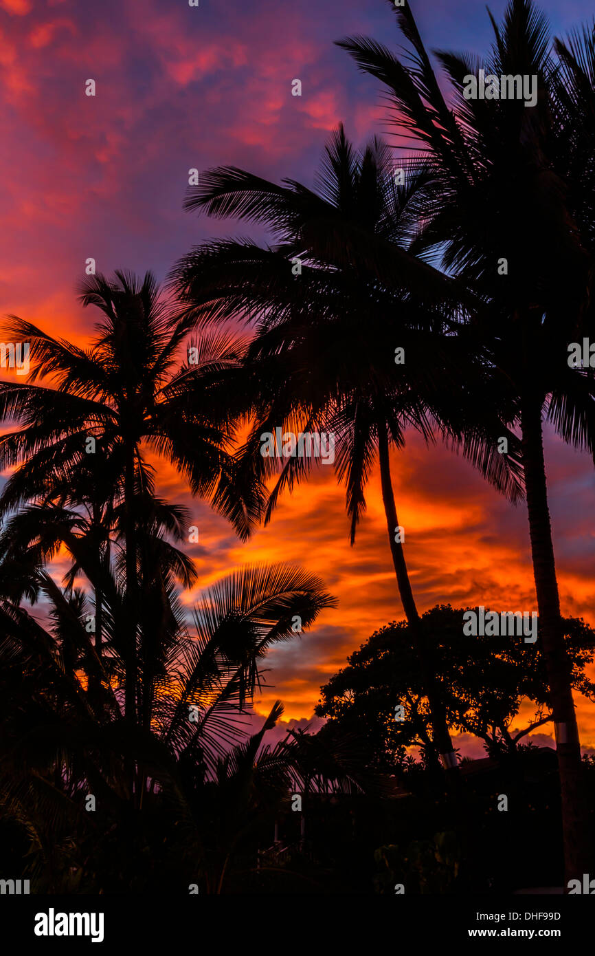 Hawaiian sunrise hi-res stock photography and images - Alamy