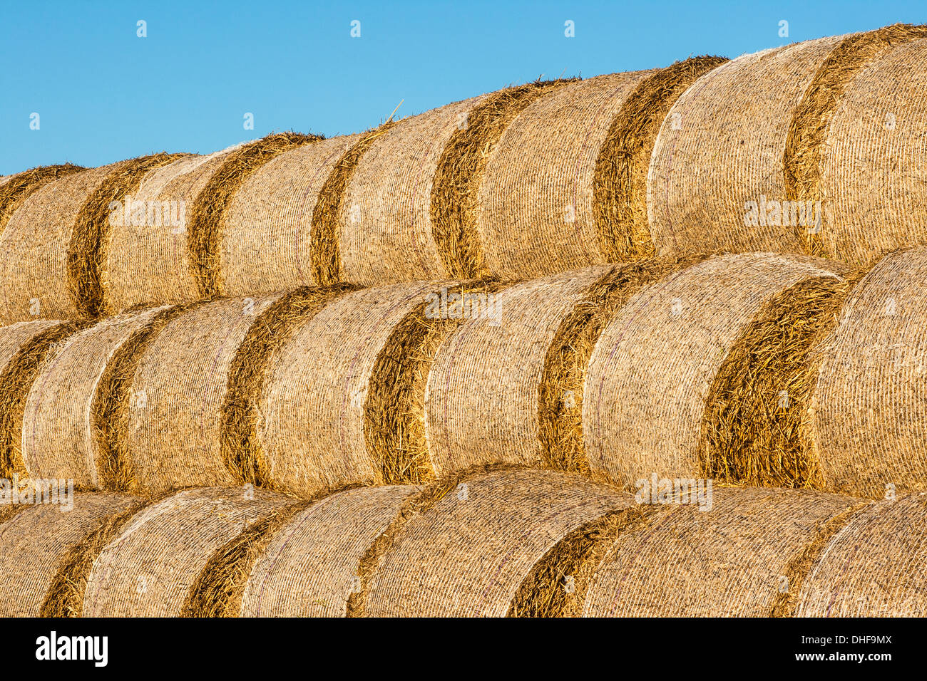 A stack of round straw bales with a blue sky background Stock Photo - Alamy