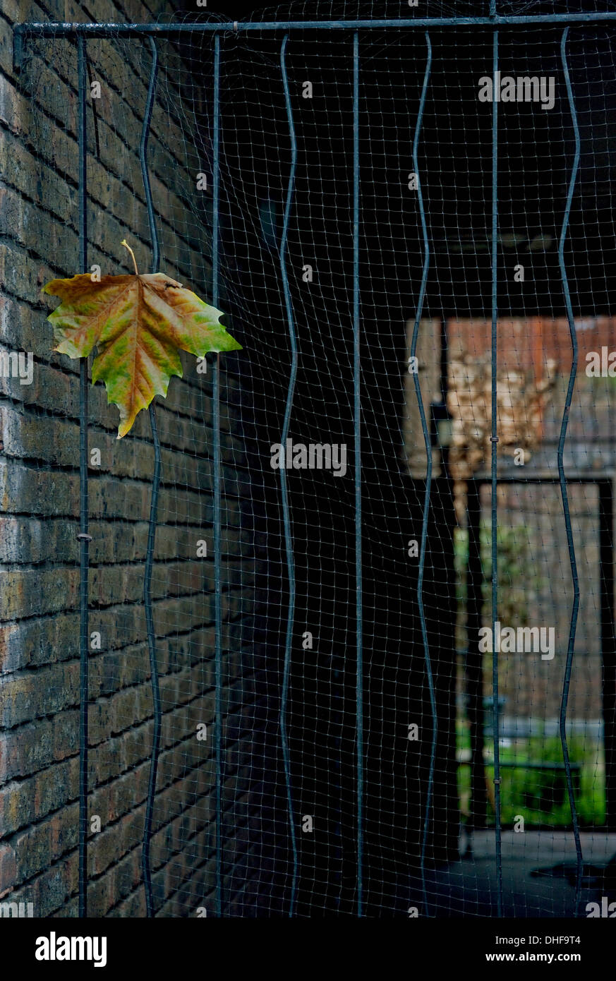 Autumn leaf on railing showing city passageway and gate Stock Photo - Alamy