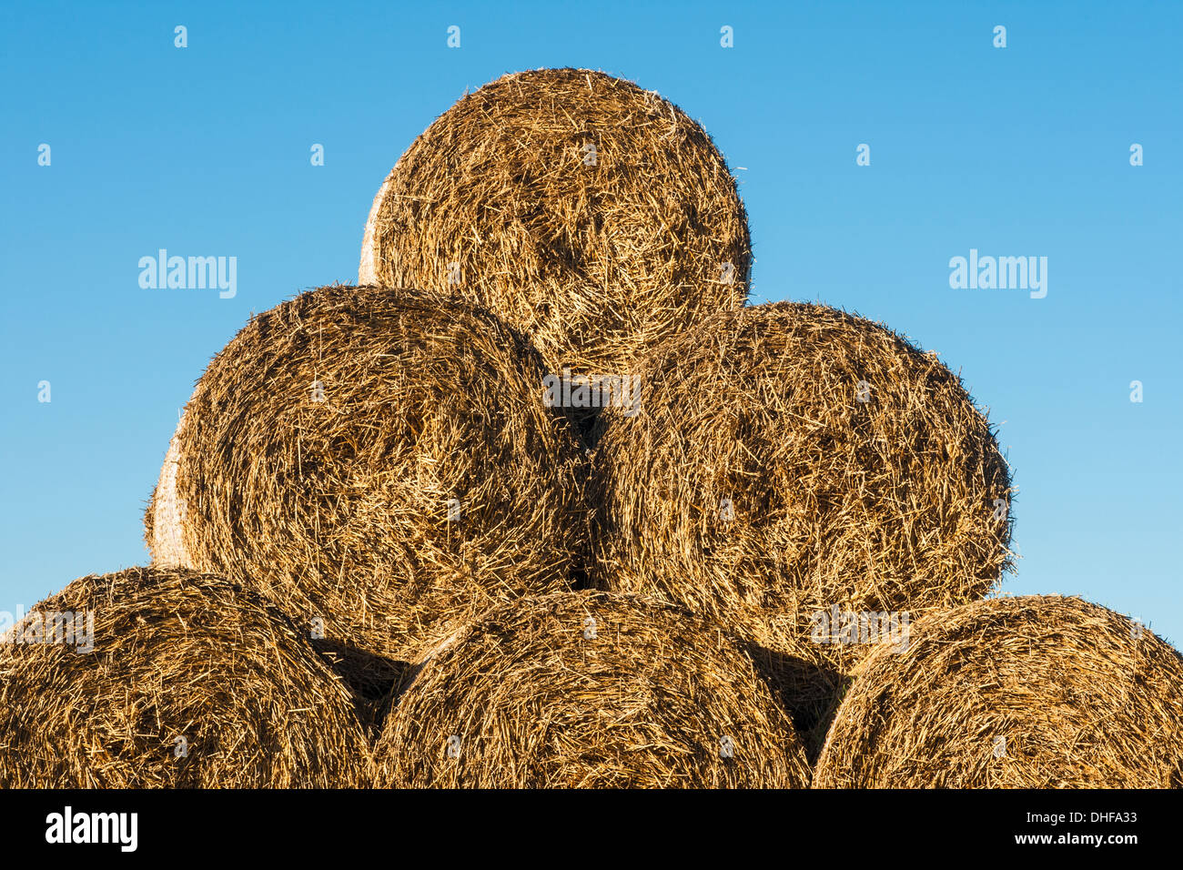A stack of round straw bales with a blue sky background Stock Photo - Alamy