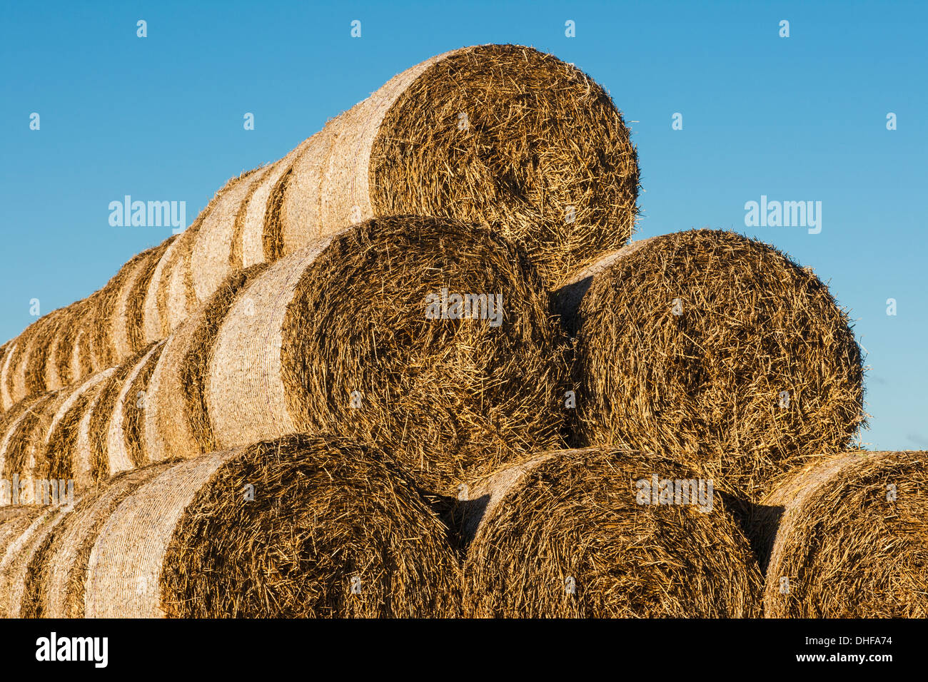 Round Straw Bales High Resolution Stock Photography and Images - Alamy
