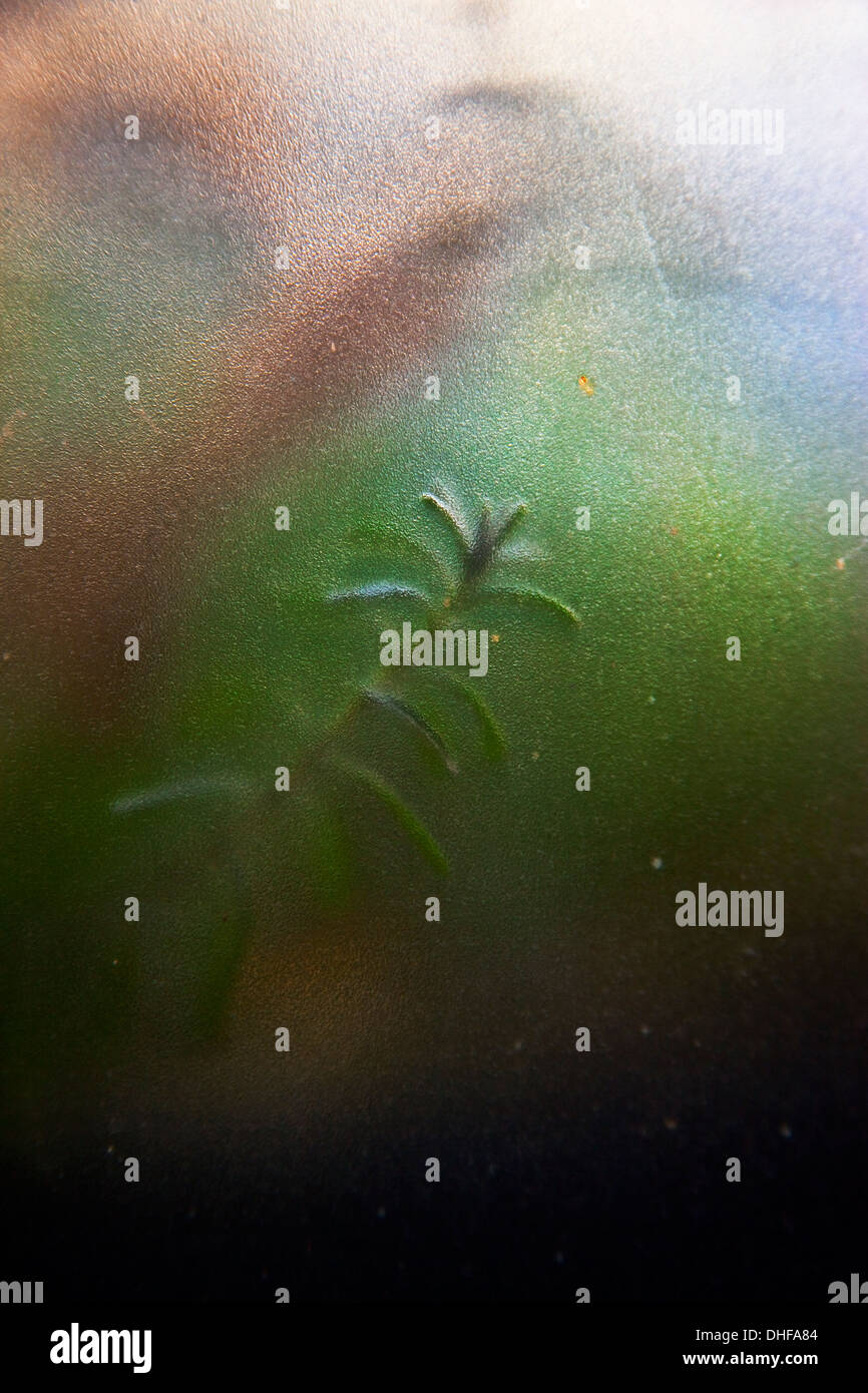 Lavender through smoked glass window hi-res stock photography and ...