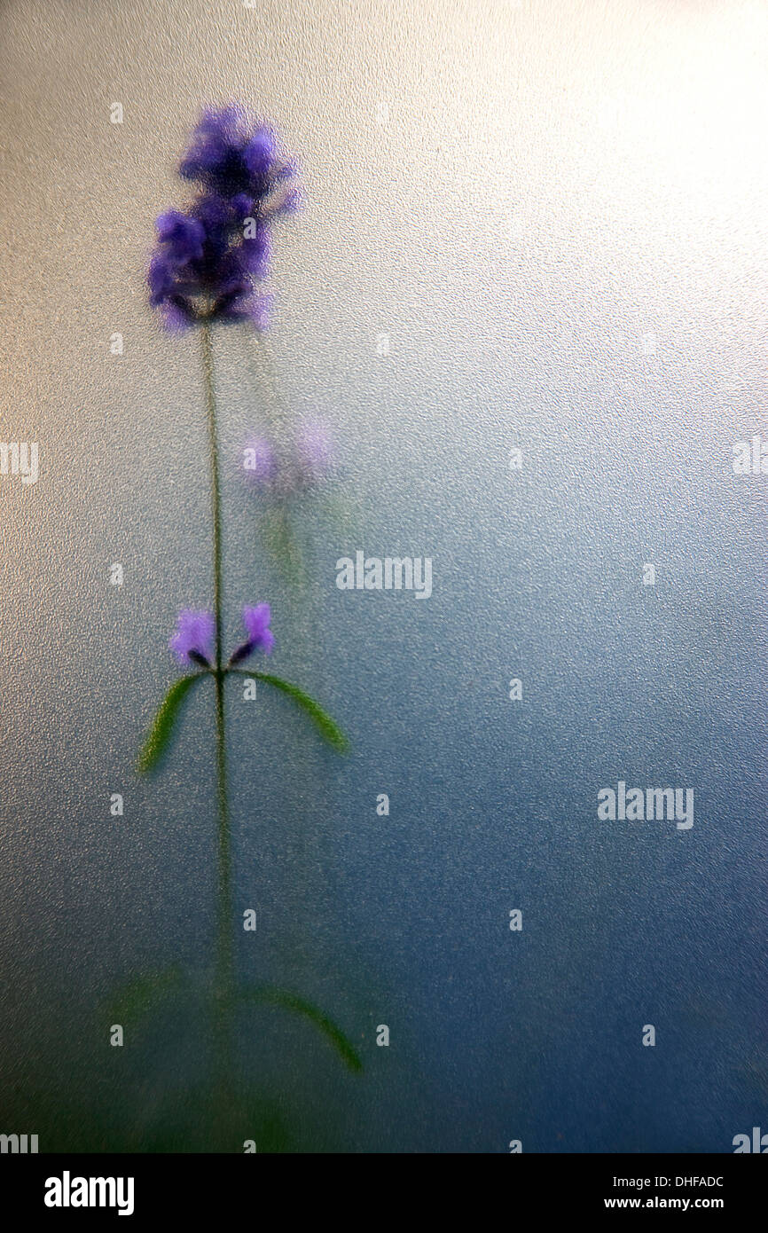 Smoked window glass hi-res stock photography and images - Alamy