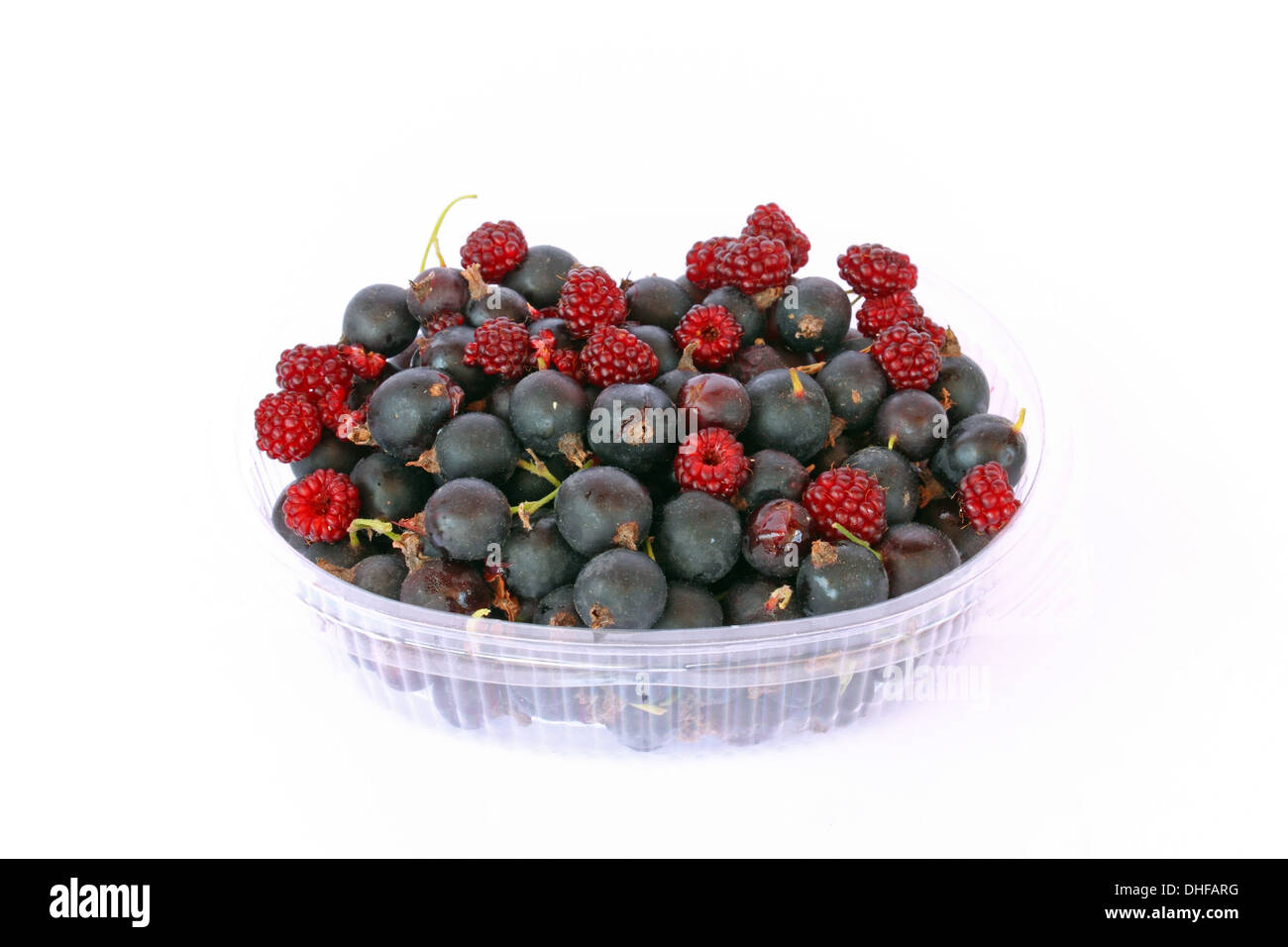 Josta hi-res stock photography and images - Alamy