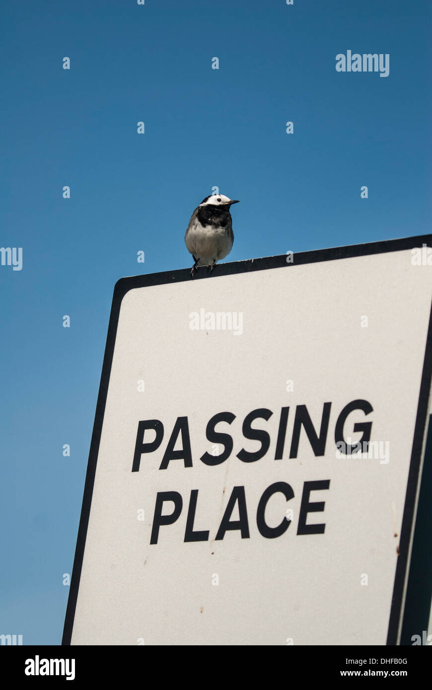 Adult on passing place sign Stock Photo - Alamy