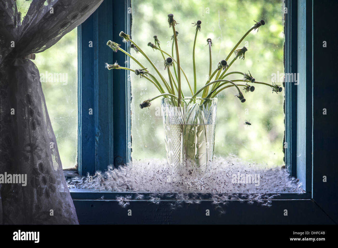 Flowers on windows hi-res stock photography and images - Alamy
