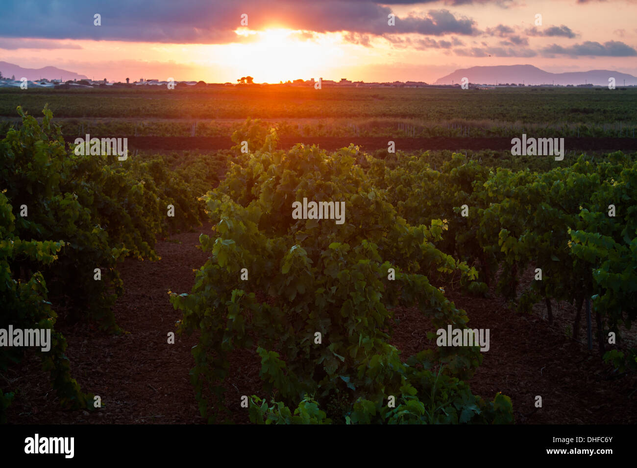Sicilian sun hi-res stock photography and images - Alamy