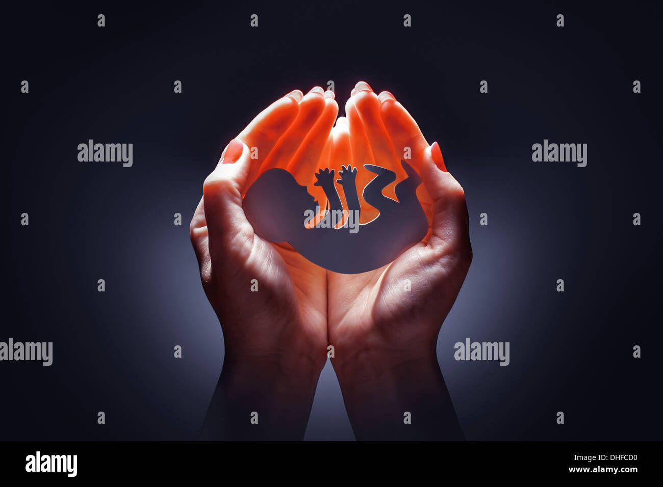 Health Embryo High Resolution Stock Photography and Images - Alamy